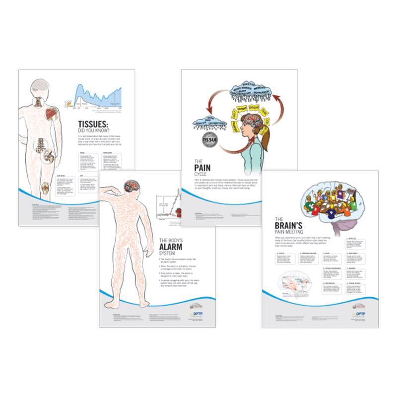 Pain Neuroscience Posters (Set of 4) | SME, Inc. USA