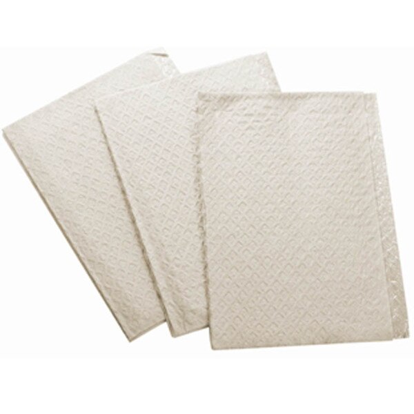 Professional Towels, 2Ply (500) | SME, Inc. USA